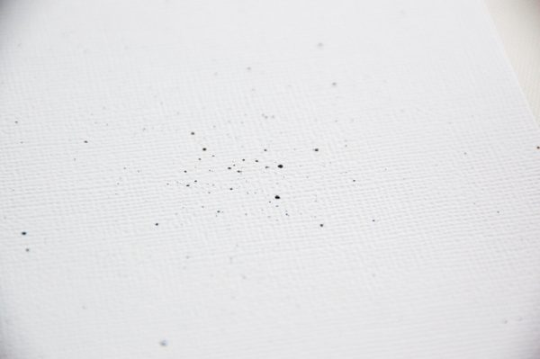 Mist-Splattered Card – Stamp & Scrapbook EXPO