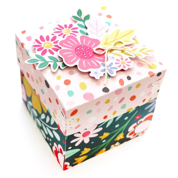 Technique Spotlight with Paige Evans: Exploding Box Mini Album – Stamp ...